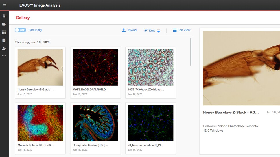 EVOS™ FLoid™ | Hücresel Görüntüleme Sistemi - Hücre Görüntüleme ...