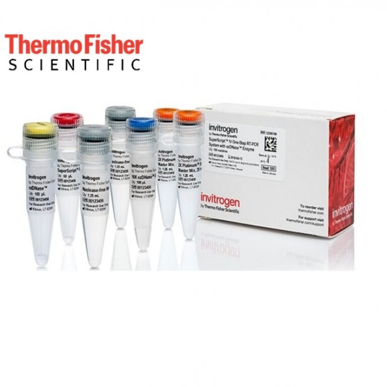 SuperScript™ IV One-StepInvitrogen™ SuperScript™ IV One-Step Real Time ...