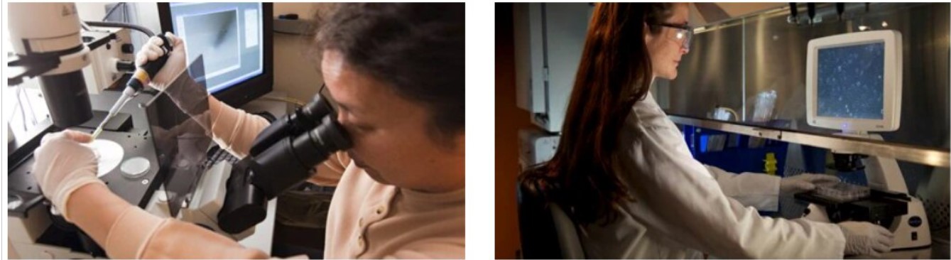 EVOS™ FLoid™ | Hücresel Görüntüleme Sistemi - Hücre Görüntüleme ...