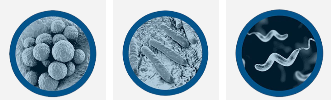 MicroSEQ™ Mikrobiyal Tanımlama Sistemi - Endüstriyel Laboratuvar ...