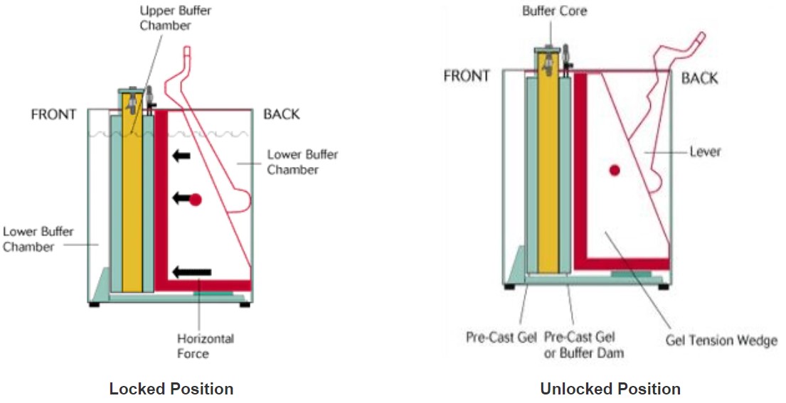 XCell SureLock™ Mini-CellProtein Jel Elektroforezi - Mini Elektroforez ...
